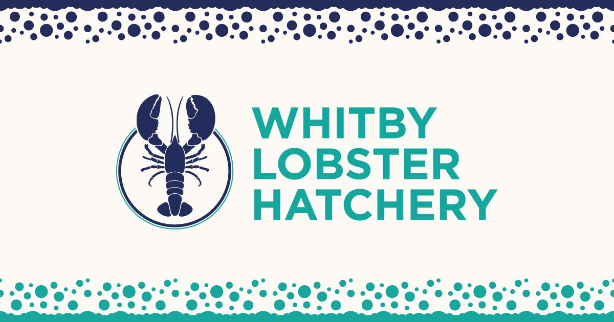 Whitby Lobster Hatchery / Home